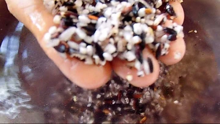 Tagalog Kitchen: How To make Rice Cake..Biko na Pirurutong