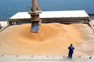 clasificación de las cargas : carga general