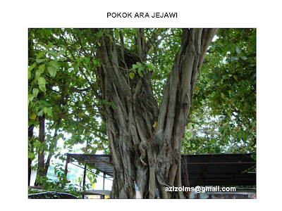 Industri Walit Tingkatkan Ekonomi Bumiputra: POKOK-POKOK YANG ...