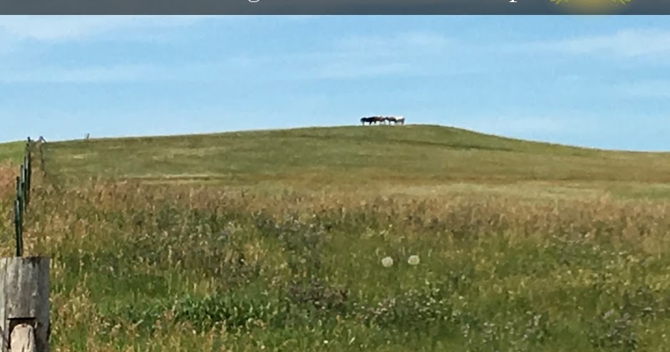 THE WESTERNER: Open Field Doctrine and How It Can Be Used Against ...