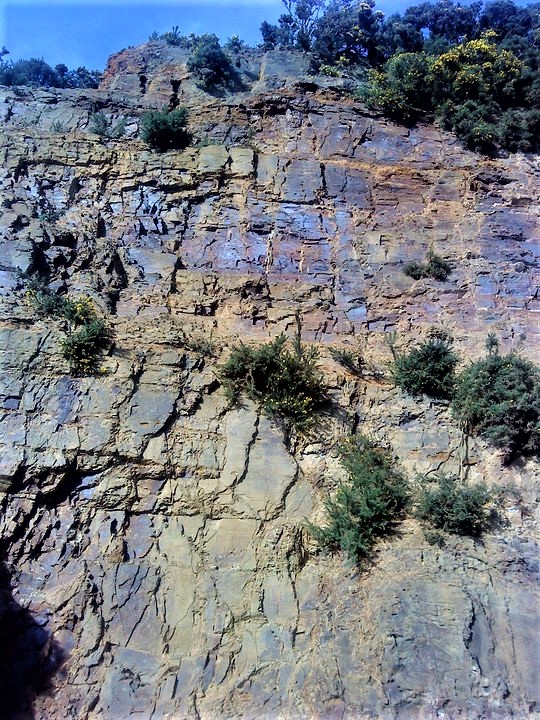 Trev Teasdel Photography: There's Iron in Them Hills - Quarry Great Ayton