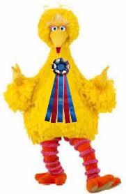 Don Findlay's Plate Tectonics Blog: Plate Tectonics turns up for the ...