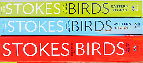 STOKES BIRDING BLOG: Announcing, 2 new portable field guides, The NEW ...
