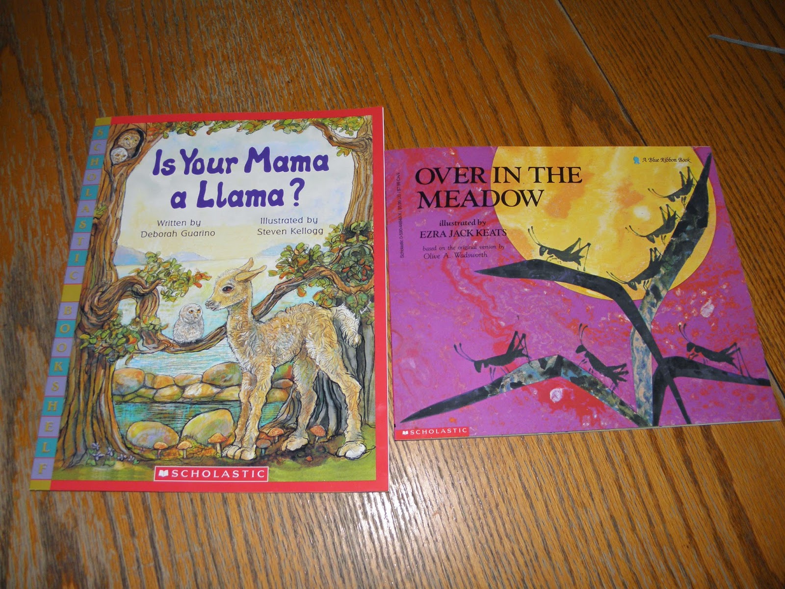 Hats and Chickadees: BOOK GIVEAWAY! Books to Read Together - Common ...