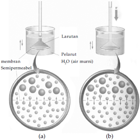 Tekanan Osmosis Larutan