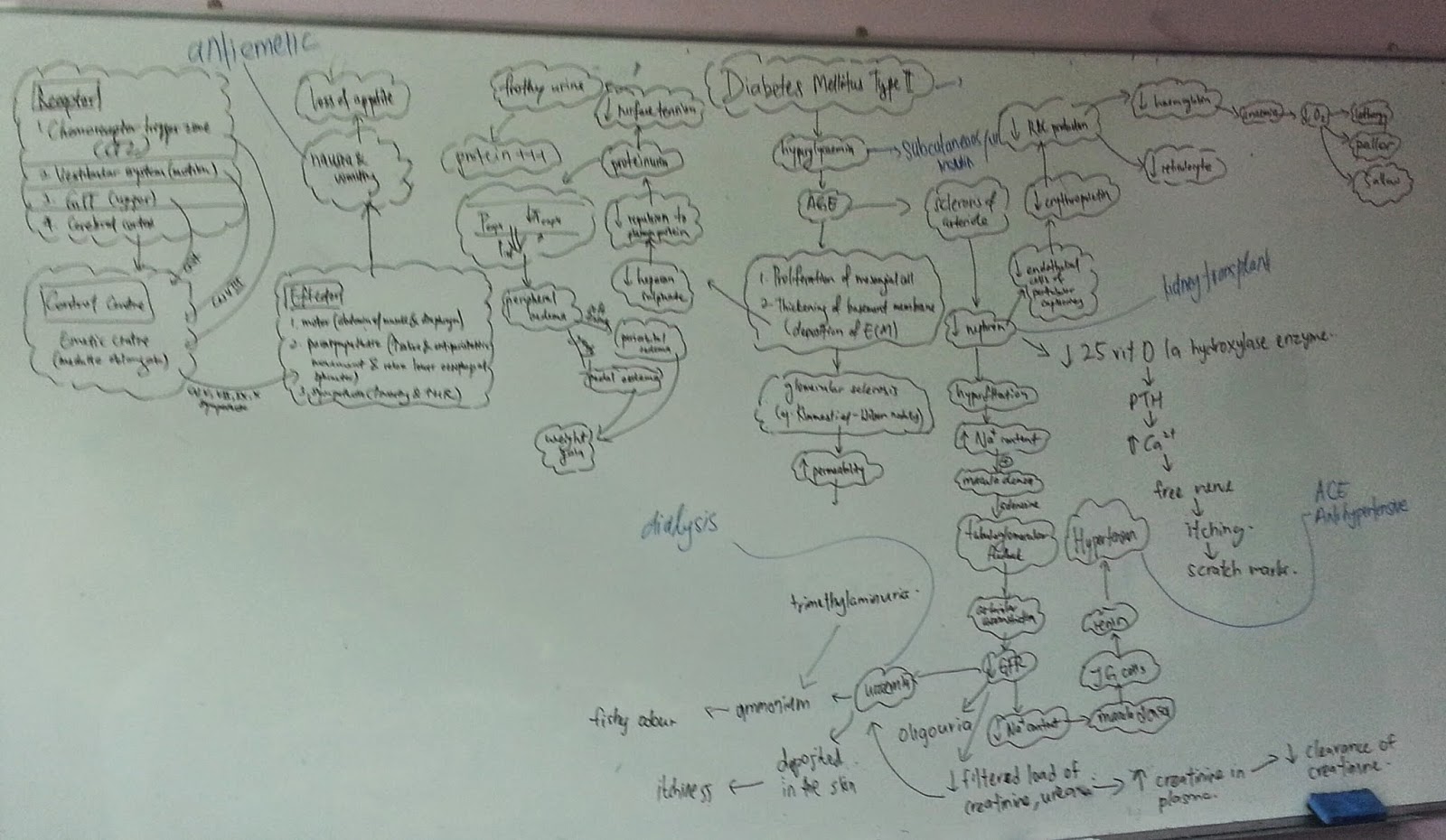 Chronic Kidney Disease Concept Map - Map