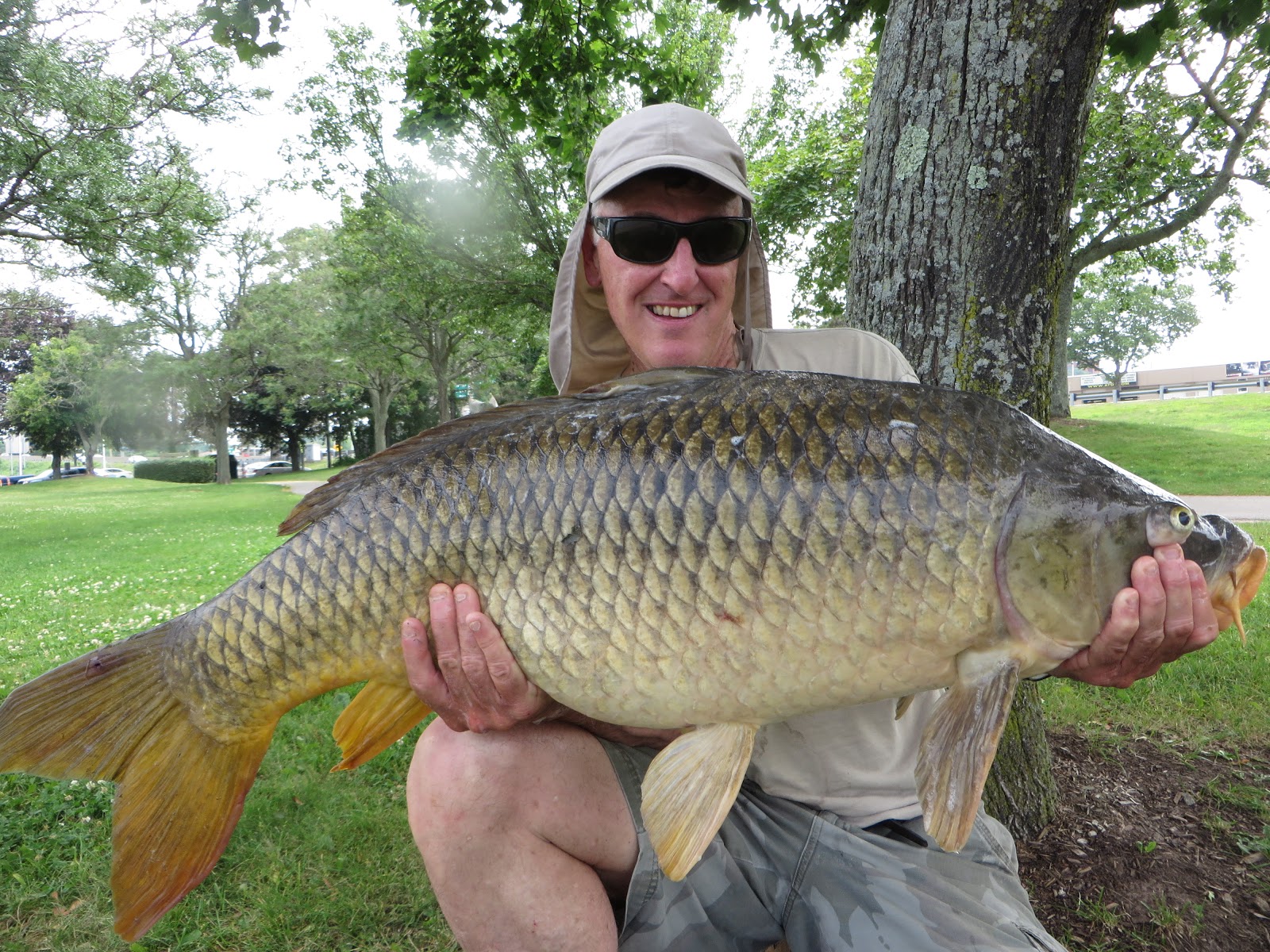 Rhode Island Carp Fishing: Photo of the Day...."Biggest Carp of the ...