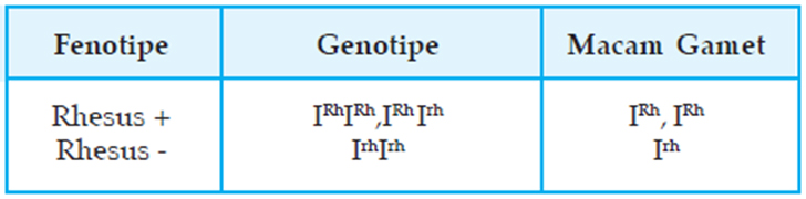 Macam-macam Penggolongan Darah, Materi Lengkap - Generasi Biologi