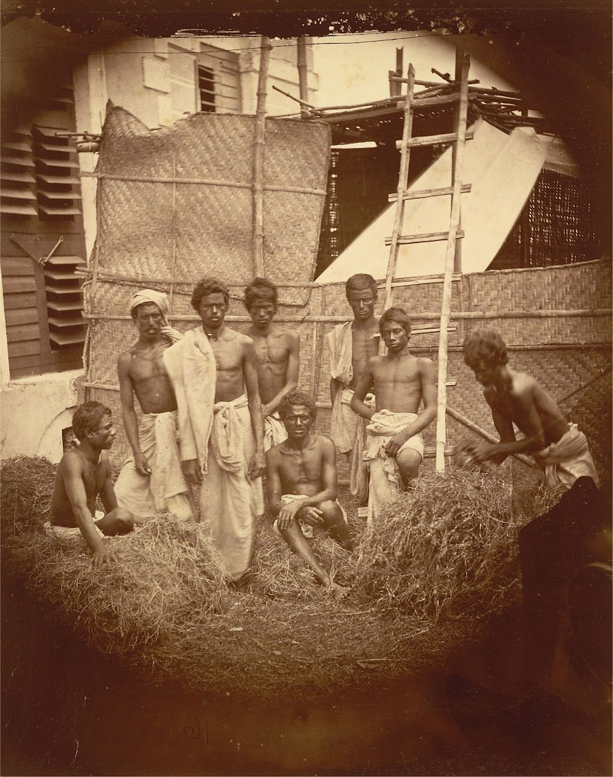 Group of Men probably from Agricultural Castes - Eastern Bengal 1860's ...