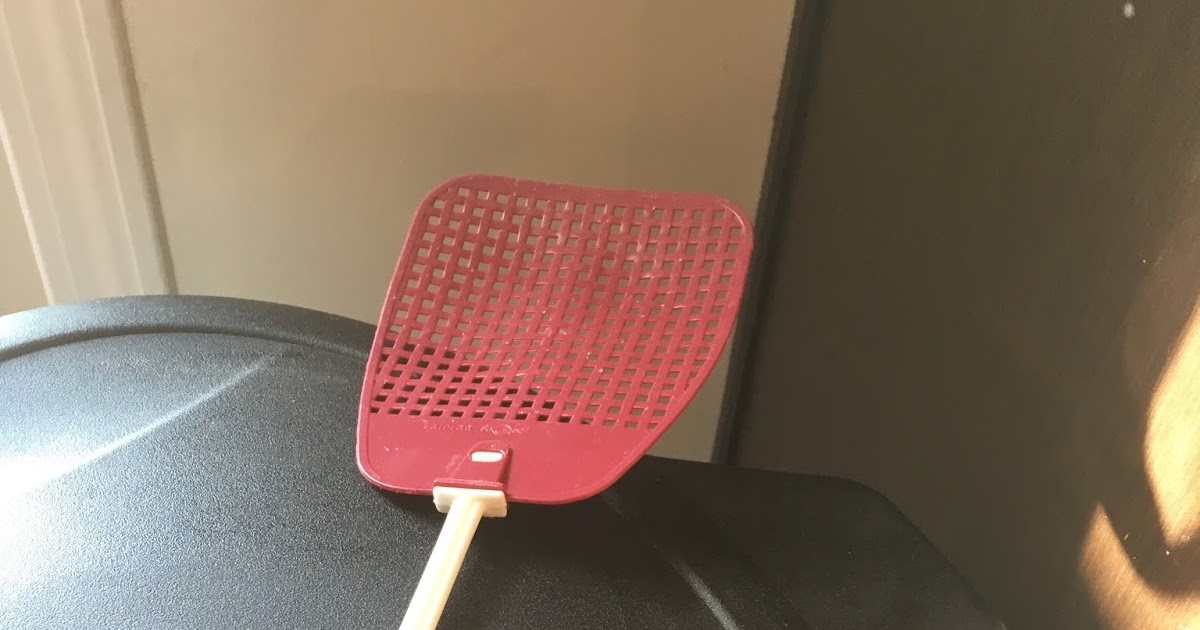 When Flies Come Back to Life