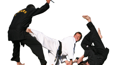 Loukos Por Artes Marciais : 5 curiosidades sobre o Hapkido
