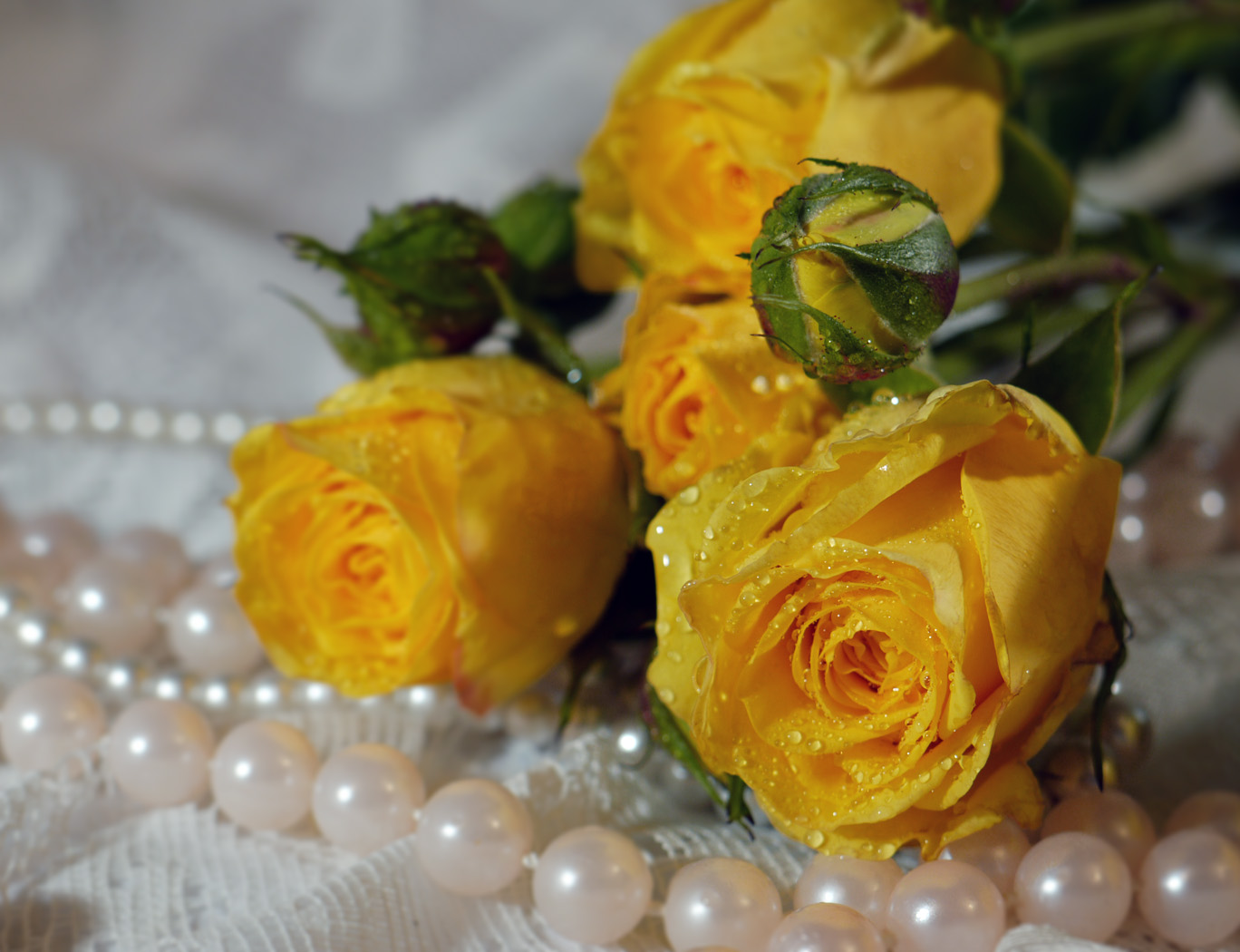 Grandma's Pearl: PH Yellow Roses