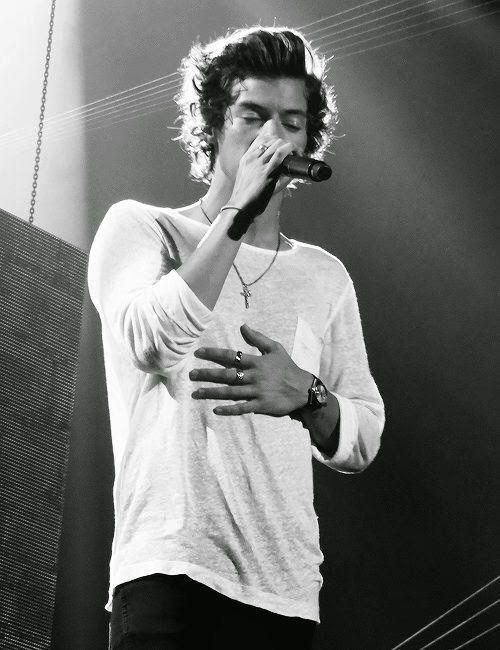 Life With Hannah: Foxy Friday: Harry Styles