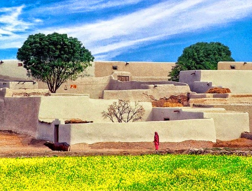 Punjabi: PUNJABI village photos