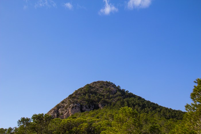 CERRO DEL AGUDO DESDE LOS VIVES