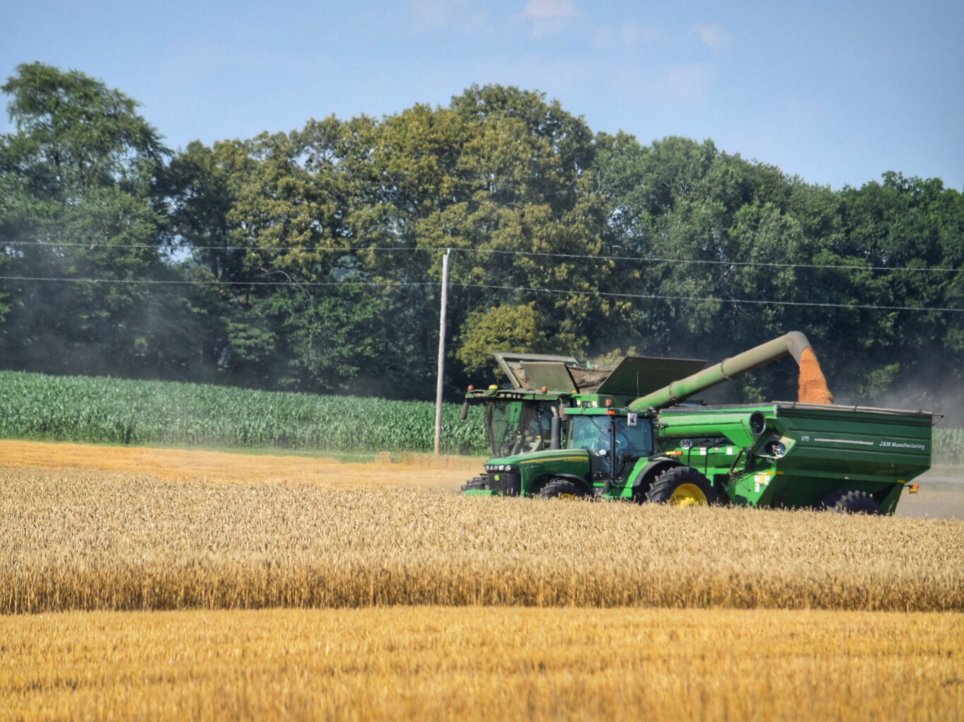 Jepson Family Farm: Amber Waves of Grain: An American Harvest.