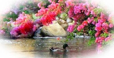 Tavaszi versek, idézetek, képek 1. - Évszakok