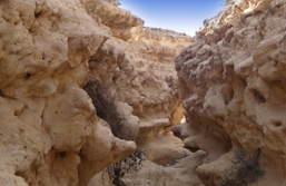 Petrified Forest Protectorate - Maadi - Cairo ~ Welcome To Egypt My Friends