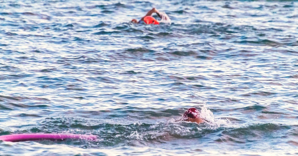 Lake Michigan Swimmers: Morning Swims Return!