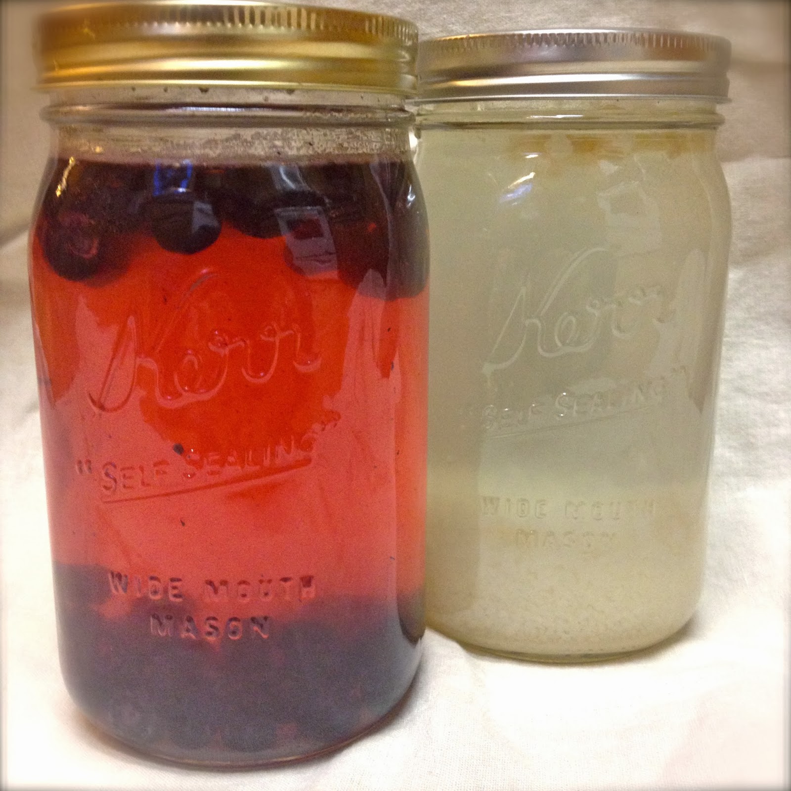 The back jar is unflavored Water Kefir in it's first ferment. The front ...