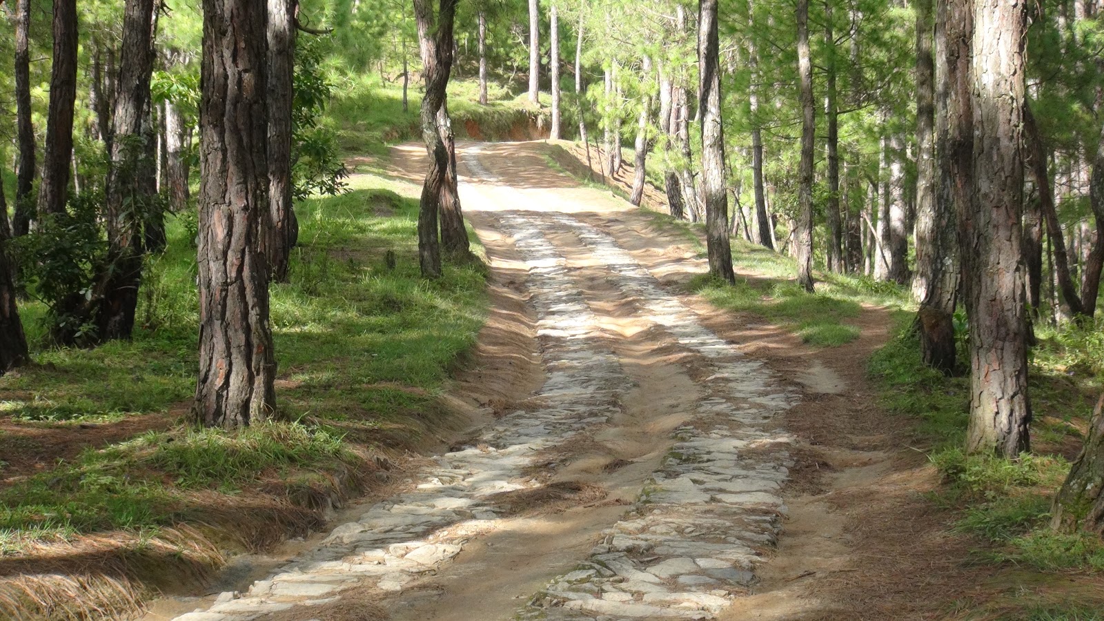 Amazing Place| Hattiban, Pharping | Way to Champadevi Temple