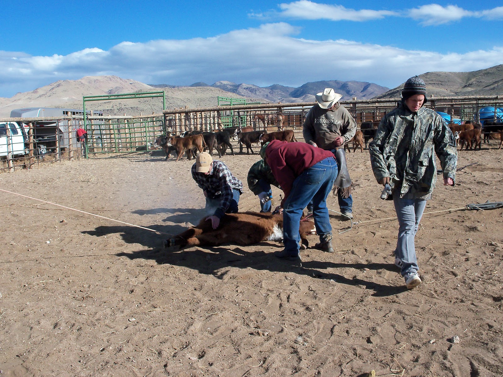Nevada Las Vegas West Mission: Delamar Valley Cattle Ranch