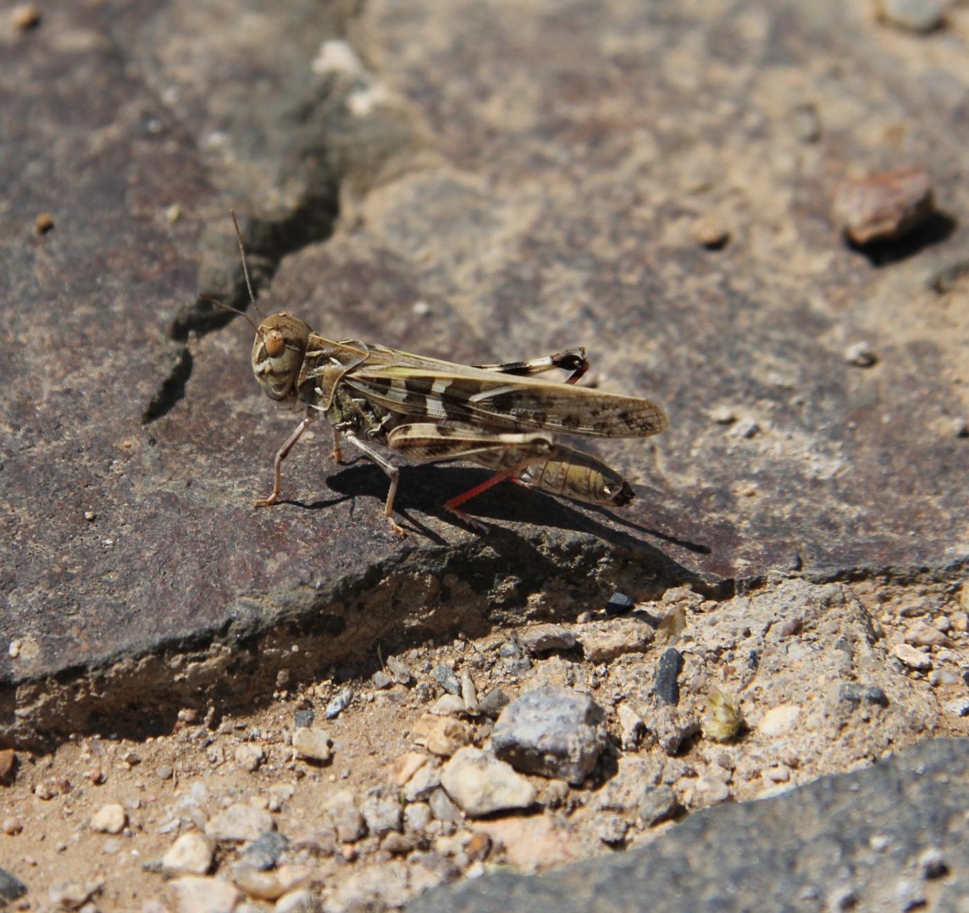 Torwen's Blog: October 2011