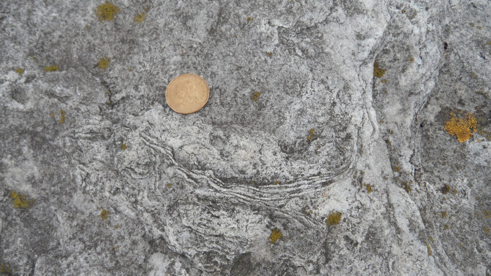 Fossils and Geology of Lanark County, Ontario: Gypsum Pseudomorphs that ...