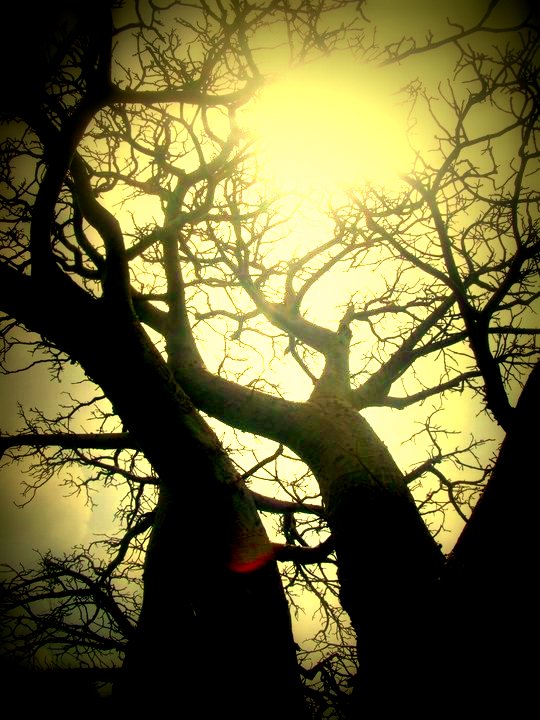 Starting with Gothic Photography