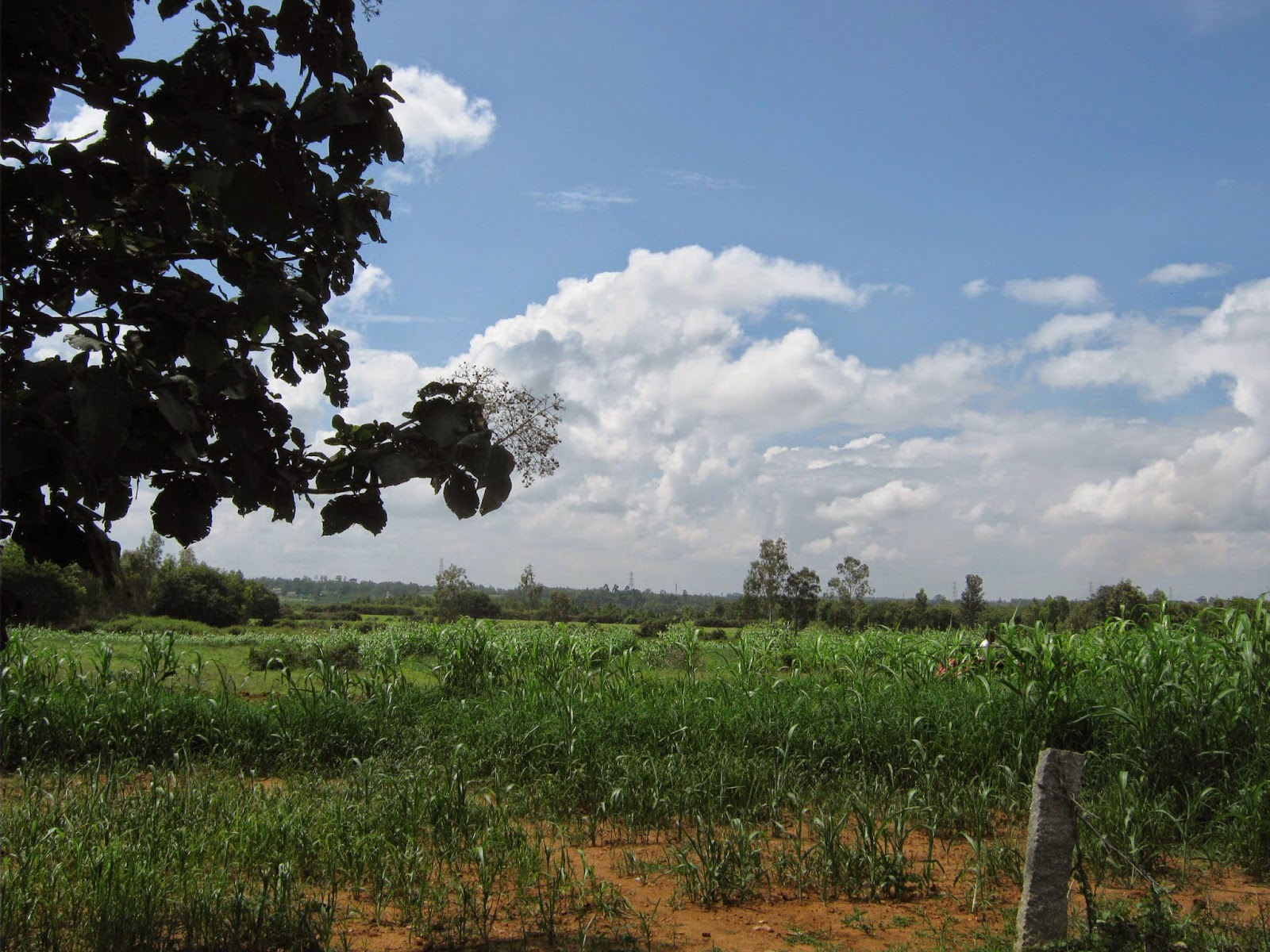 MuthyalaMaduvu , Pearl Valley , Anekal , near Bengaluru