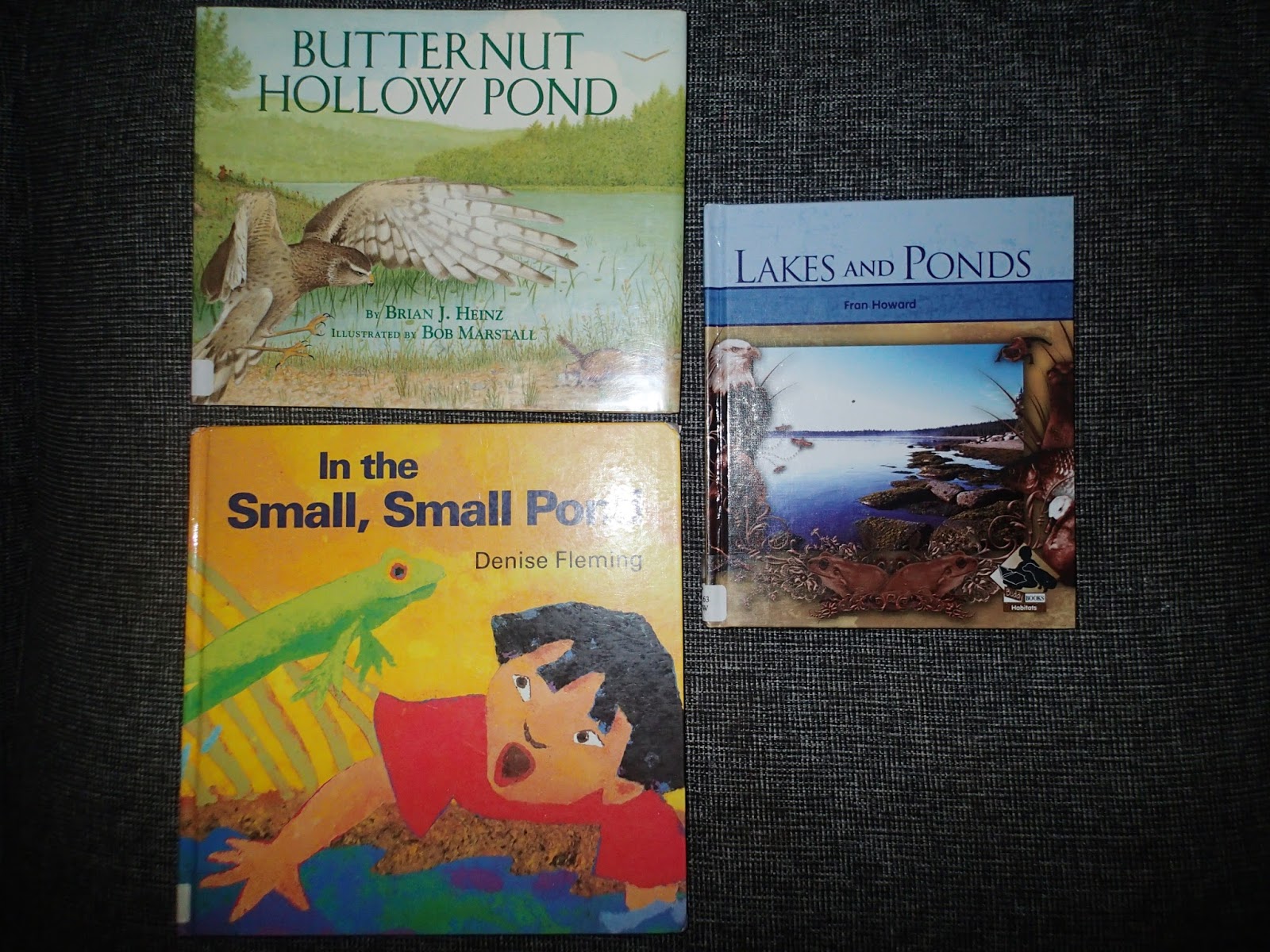 1 Day at Home: Pond Plants