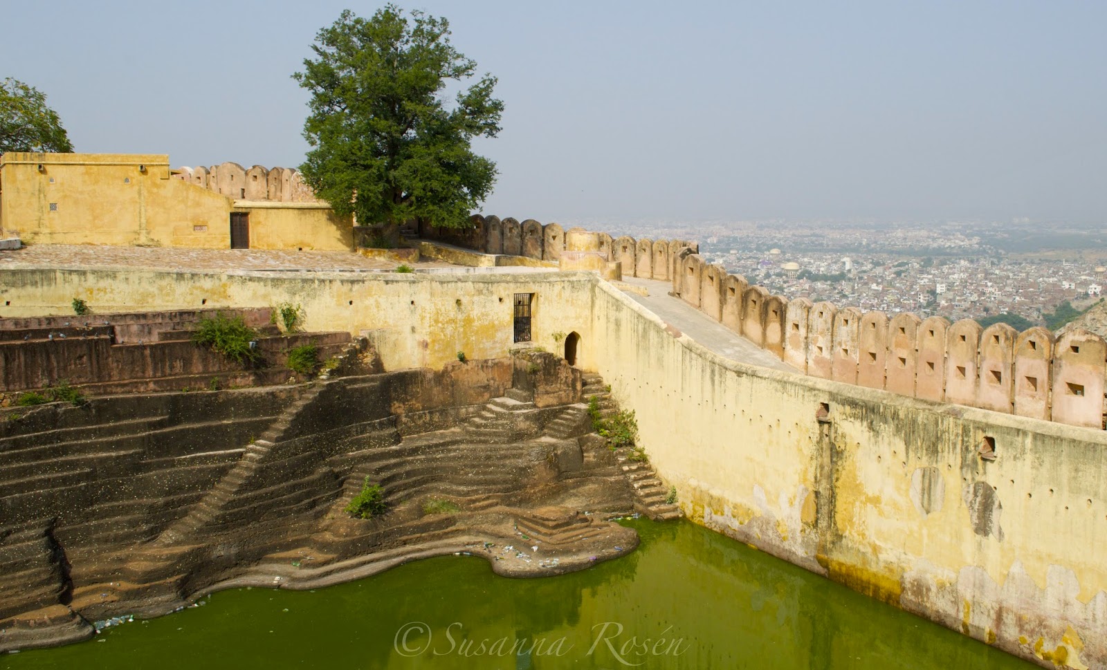 The House of Susanna / my life in India : Tiger Fort and the Victory Fort