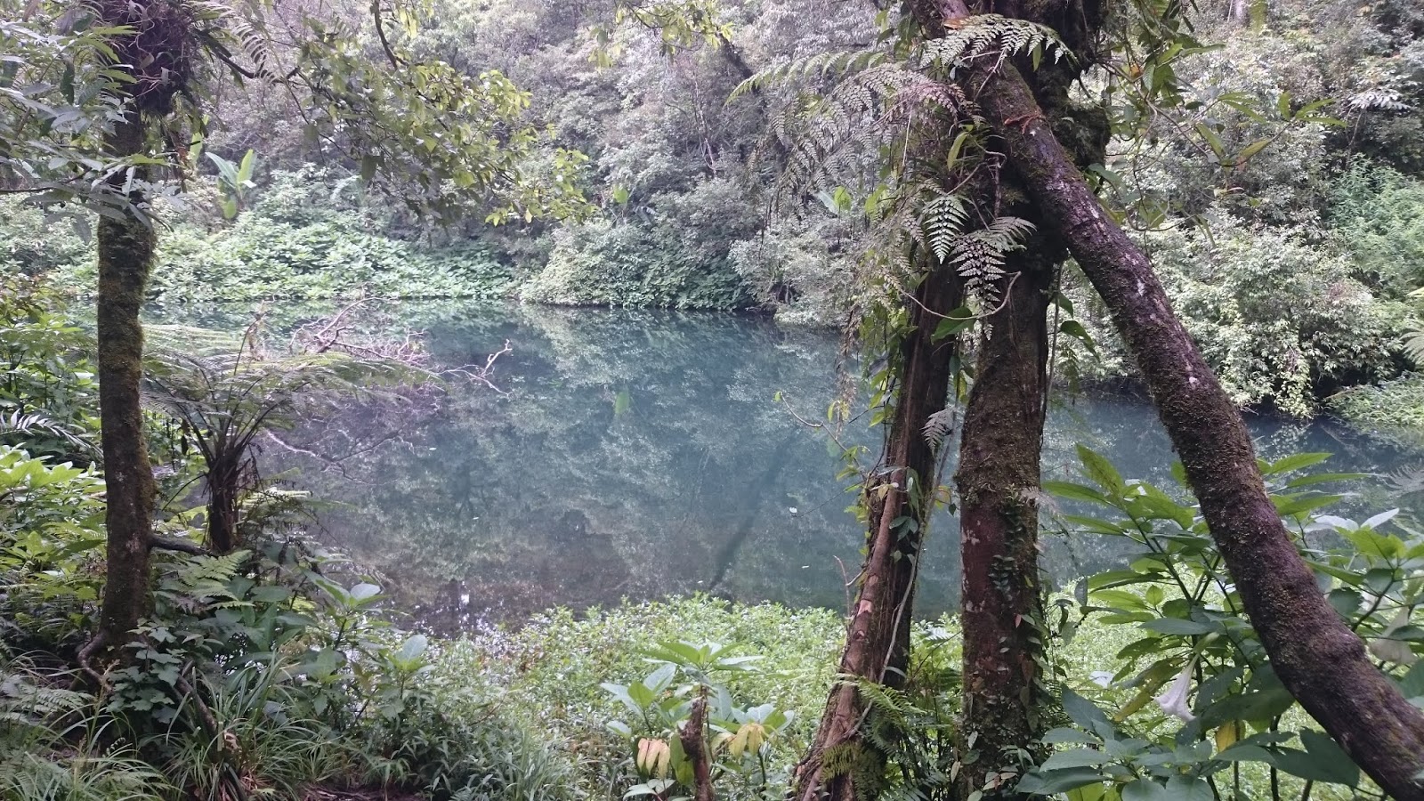 TAKJUB INDONESIA: SEGARKAN TUBUH DI AIR TERJUN CURUG CIBEUREUM CIBODAS