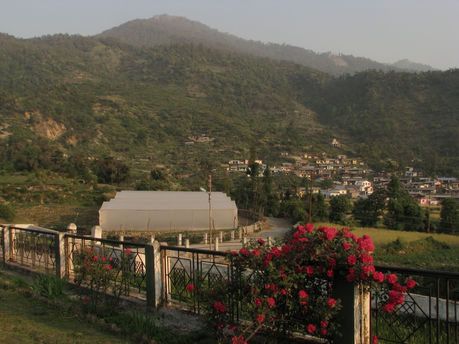 Travel & Musings: Dayara Bugyal Trek