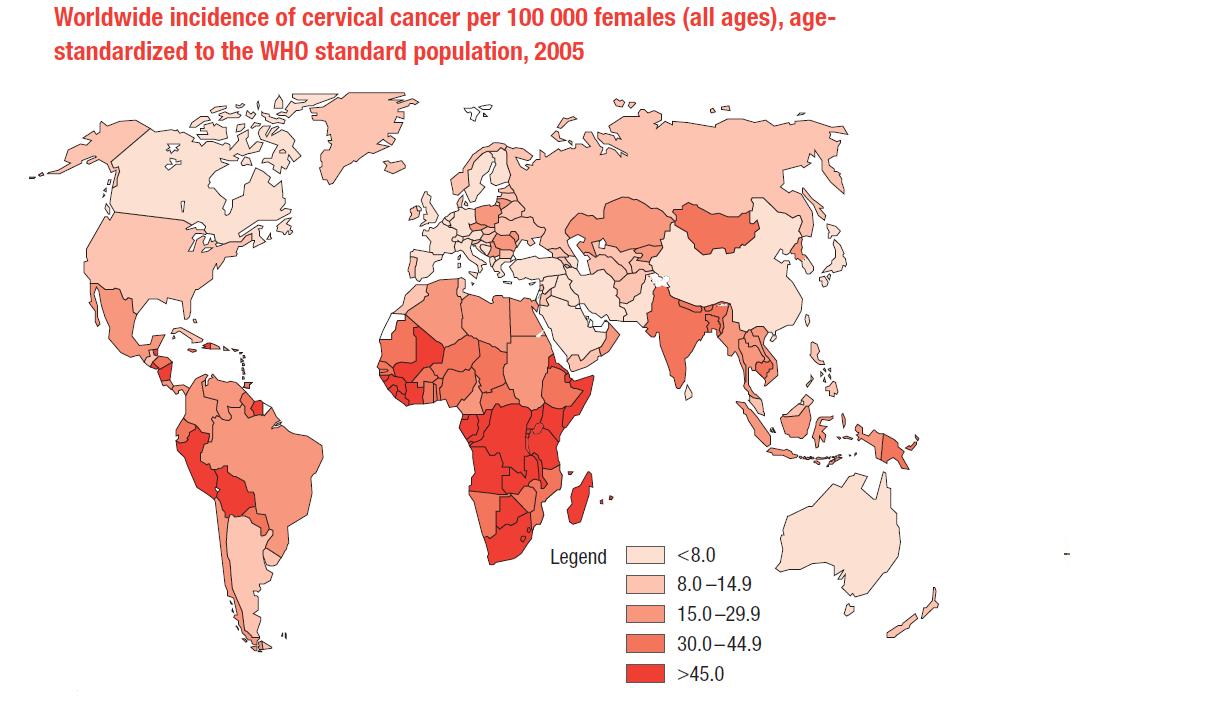 HPV and Cervical cancer vaccine: The problem of Human Papillomavirus ...