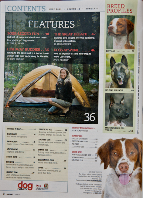 Alison Travels: Dog Fancy Magazine June Issue Article About Camping ...