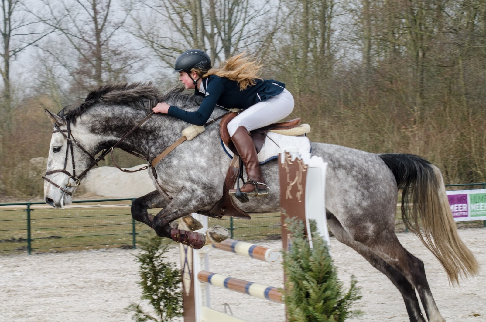 corbakphotography: Paardensport springen