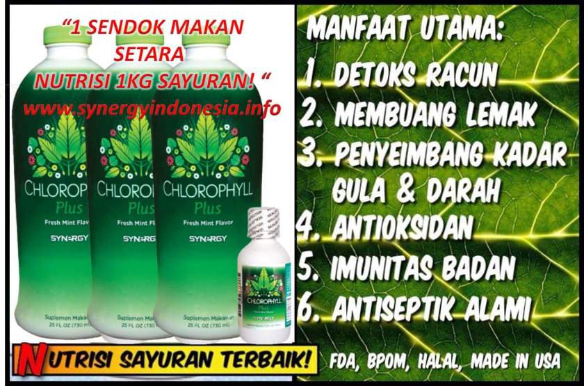 Manfaat chlorophyll Synergy