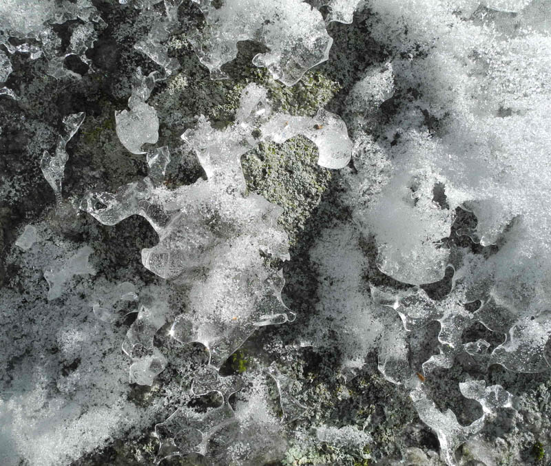 Studio and Garden: How Wonderful to be Outdoors!