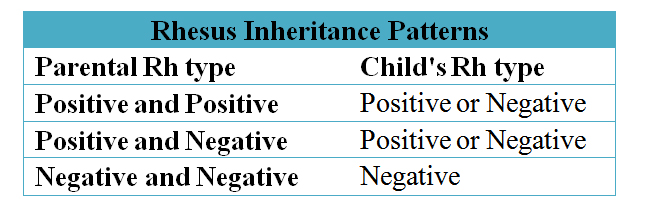 Blood Group and Its Inheritance | Doctor Uncle