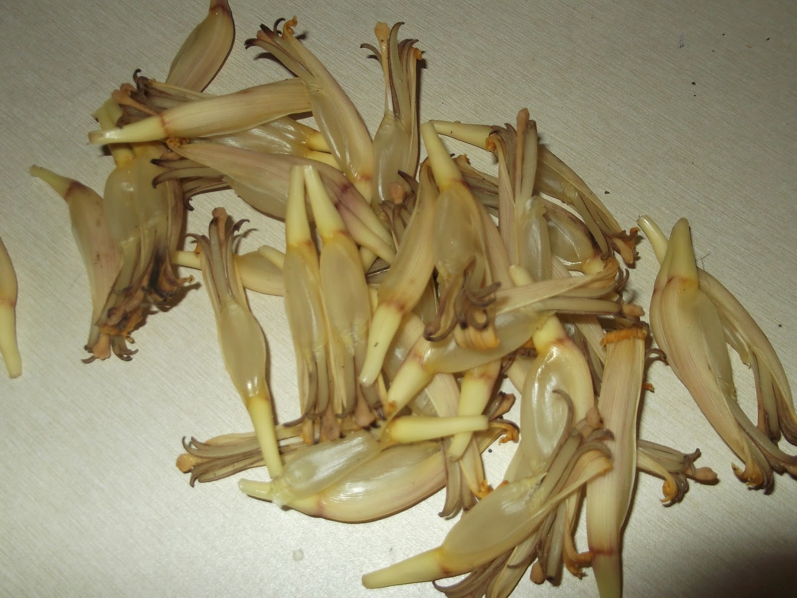 Sri's kitchen: Banana Flower curry (or) Arati puvvu kura - 1