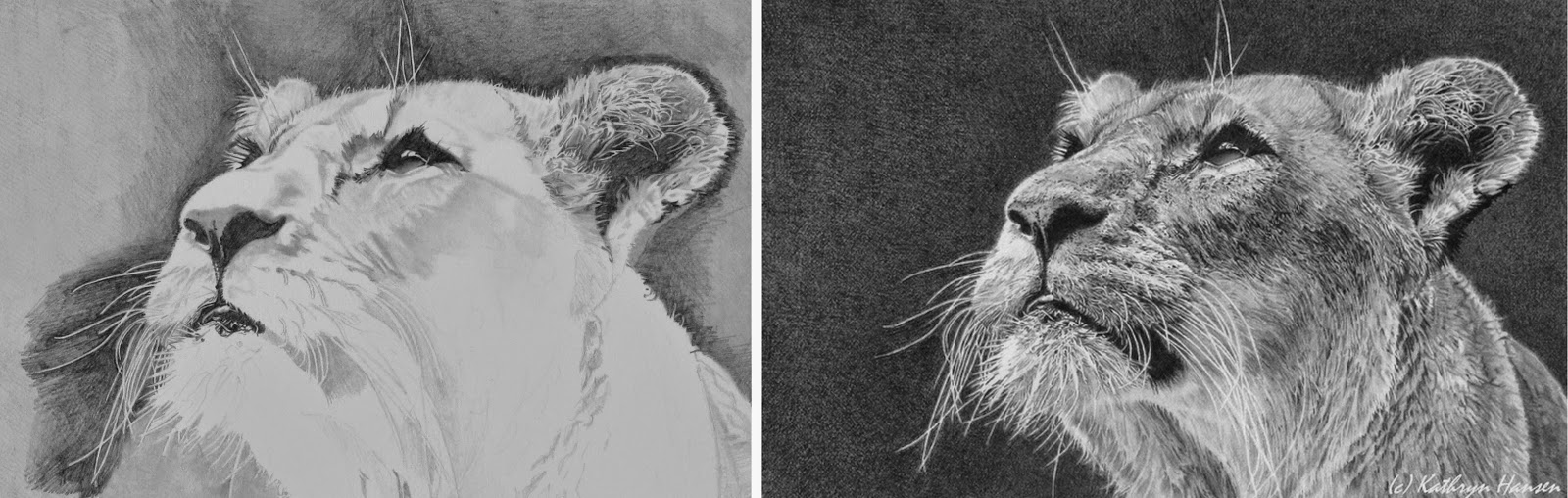 Kathryn Hansen graphite and colored pencil drawings: 7 of my best ...