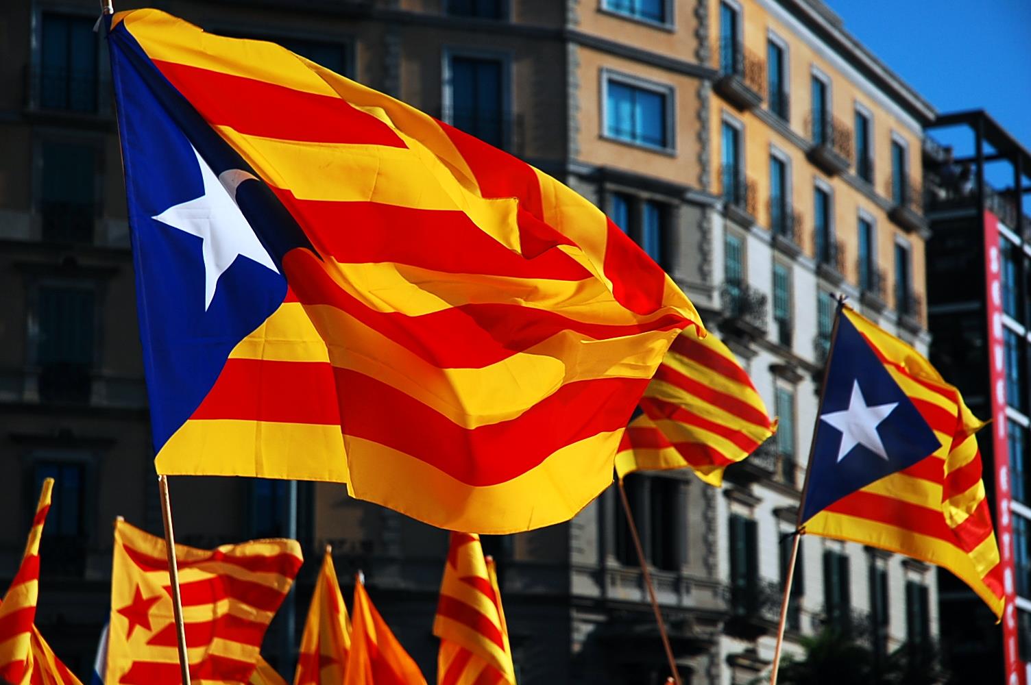Salvador Molins: La història de l'Estelada