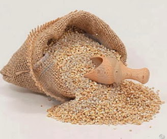 NephiCode: Comments Received from Readers – Part IV