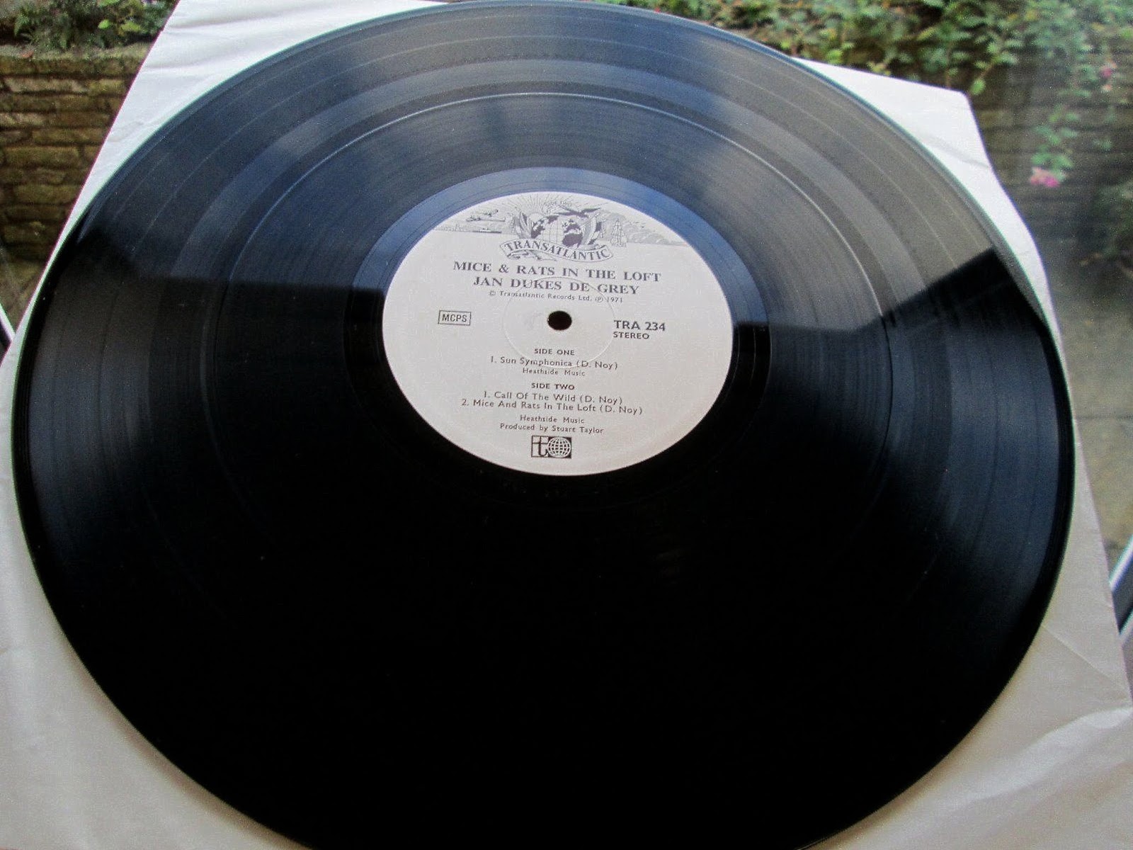 Different Perspectives In My Room...!: JAN DUKES De GREY – Mice And ...