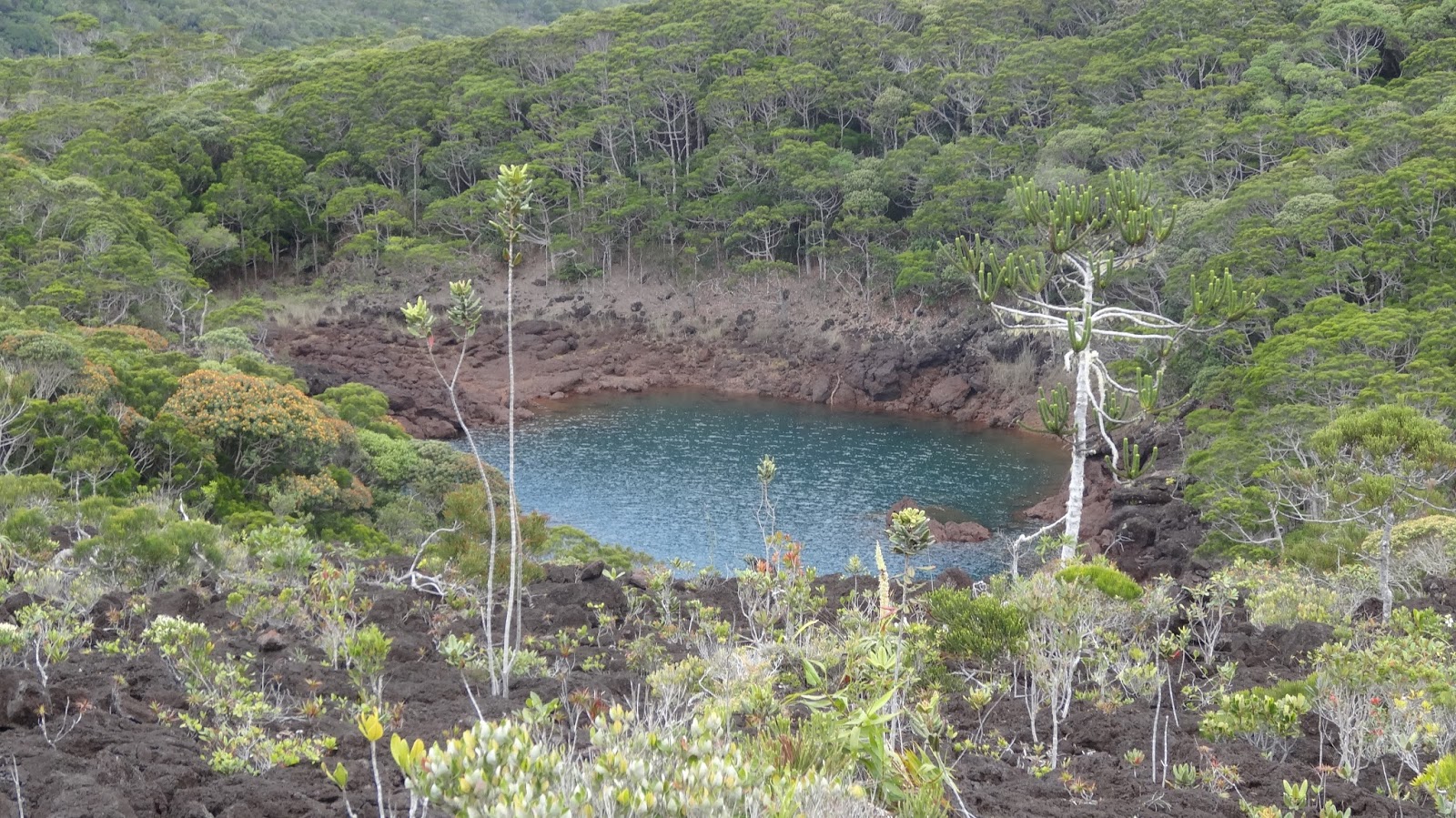 Billebaude et crapahut en Nouvelle-Calédonie: Lac Jade - Cascade de Goro