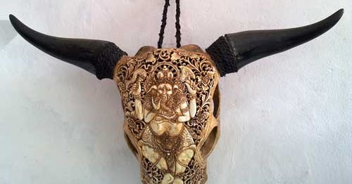 BALI BONE CRAFT ( Kerajinan Ukiran Tulang dan Tanduk): TENGKORAK SAPI ...