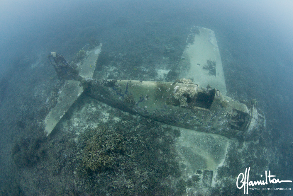 WW2 Wrecks by Pierre Kosmidis: WW2 Pacific Treasures: The Hellcat of ...