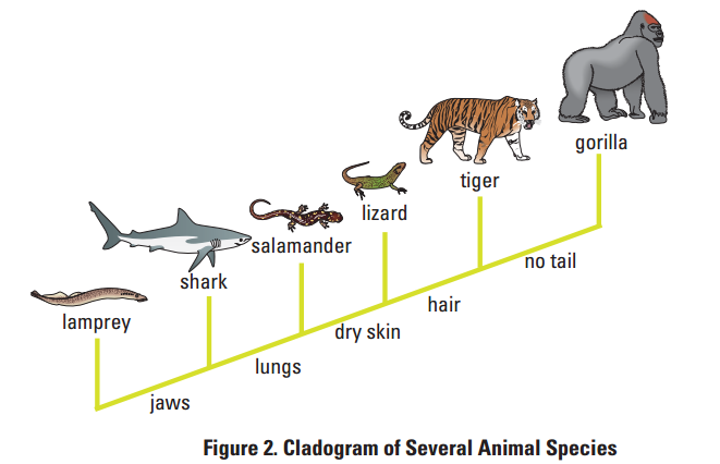 Mrs. Strong's AP Bio Lab Pages: BLAST Lab (AP Bio Lab #3)