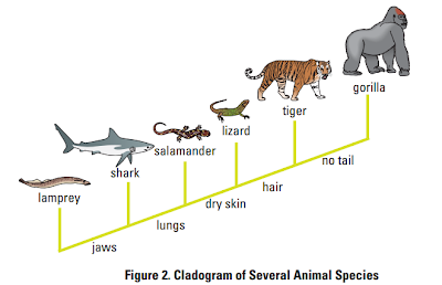 Mrs. Strong's AP Bio Lab Pages: BLAST Lab (AP Bio Lab #3)